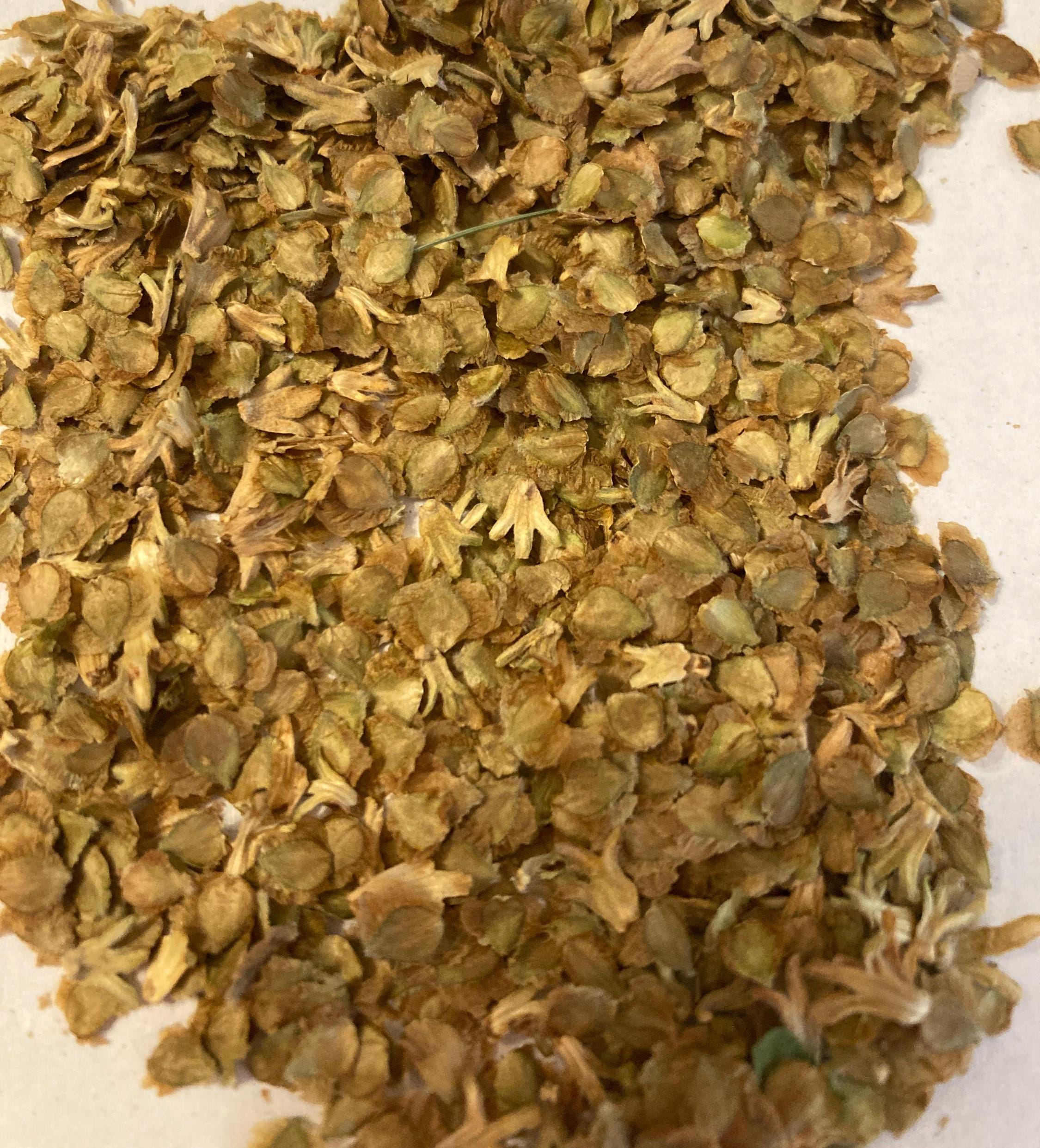 Red Birch Tree Seeds (BETULA NIGRA) (River Birch) | TreeSeedMan.Com ...