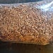 American Planetree Tree Seeds. ((Buttonwood, Western Plane, American ...