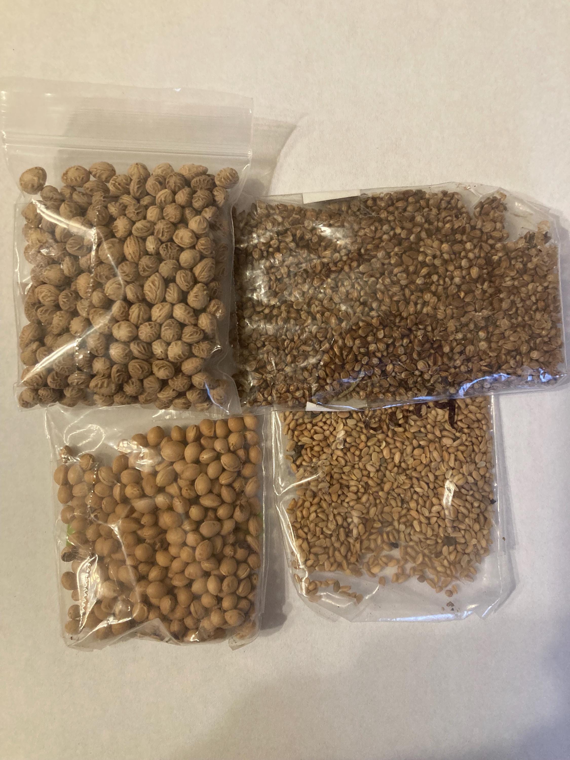 Mystery order for up to 4 types of tree seeds *(order less than 40 seeds gets 1 or 2 types only ...