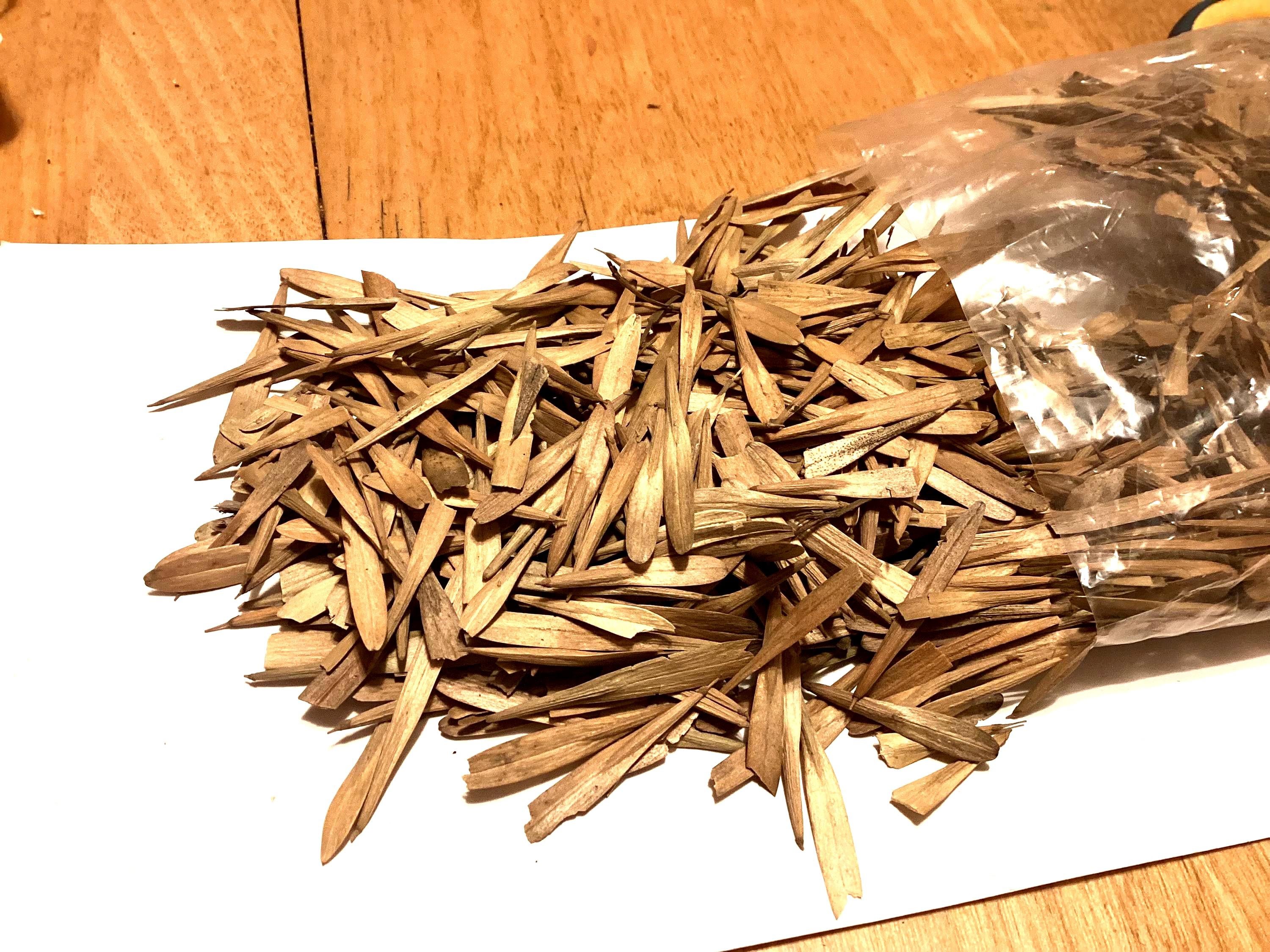Hardy Chinese Ash Tree Seeds (Fraxinus Bungeana) | TreeSeedMan.Com TREE ...