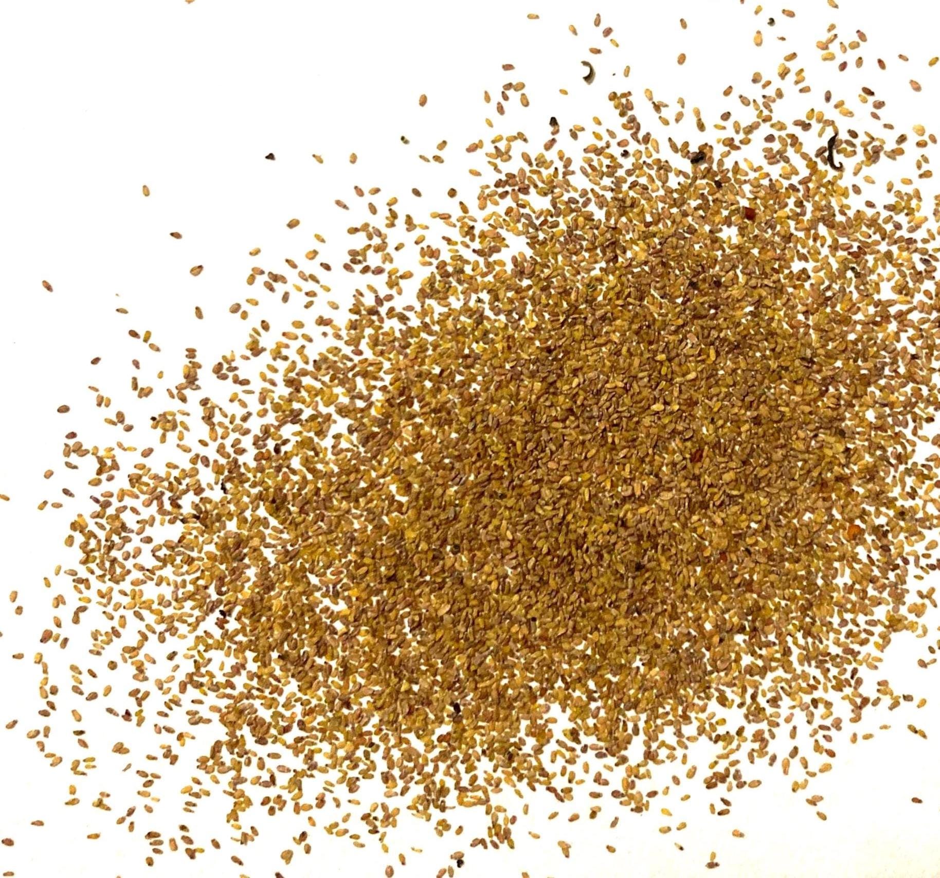 Trembling Aspen Tree Seeds (POPULUS TREMULOIDES) (Quaking Aspen ...