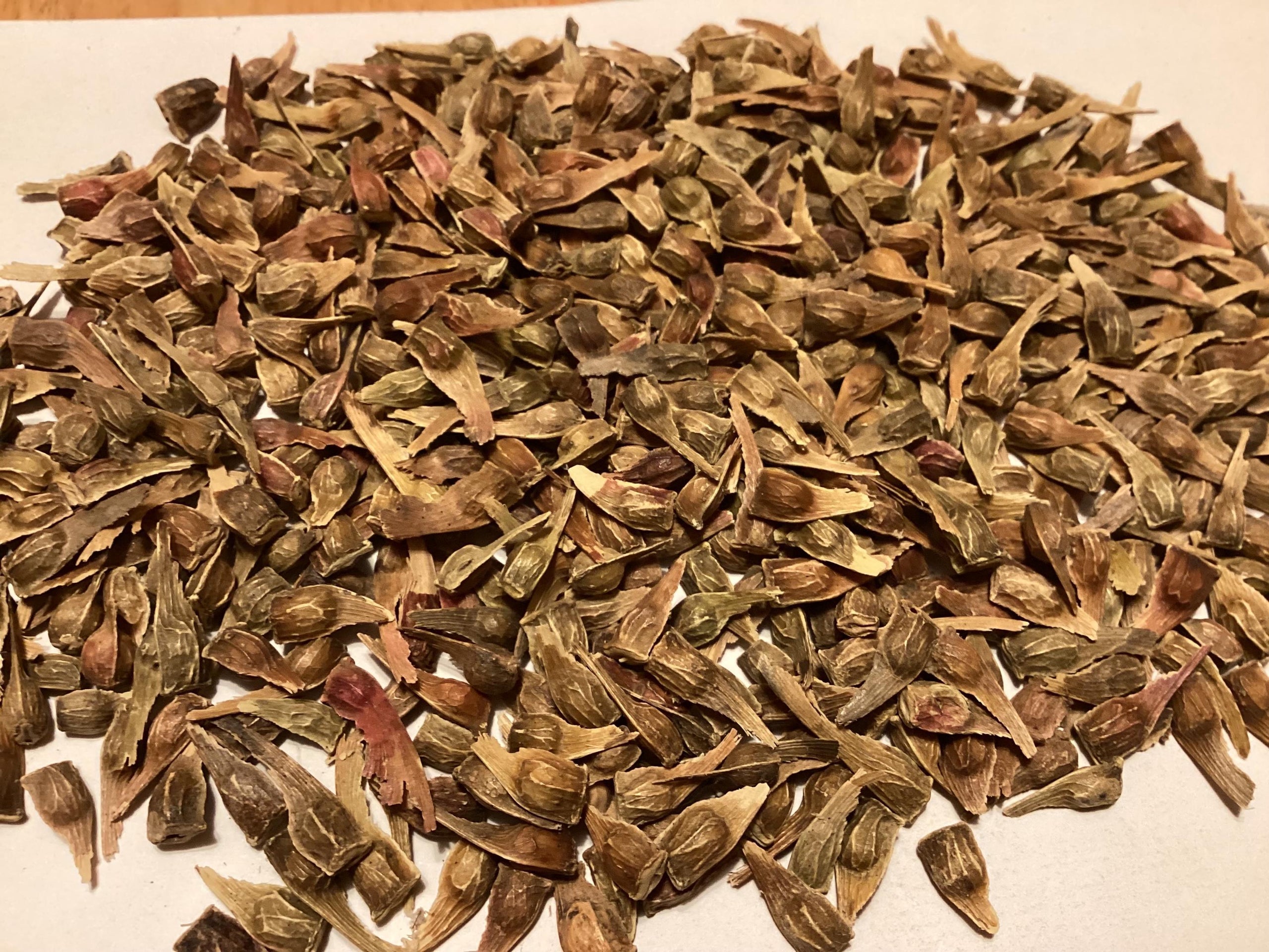 Keijo Maple Tree Seeds (ACER PSEUDO-SIEBOLDIANUM) (Purplebloom Maple ...