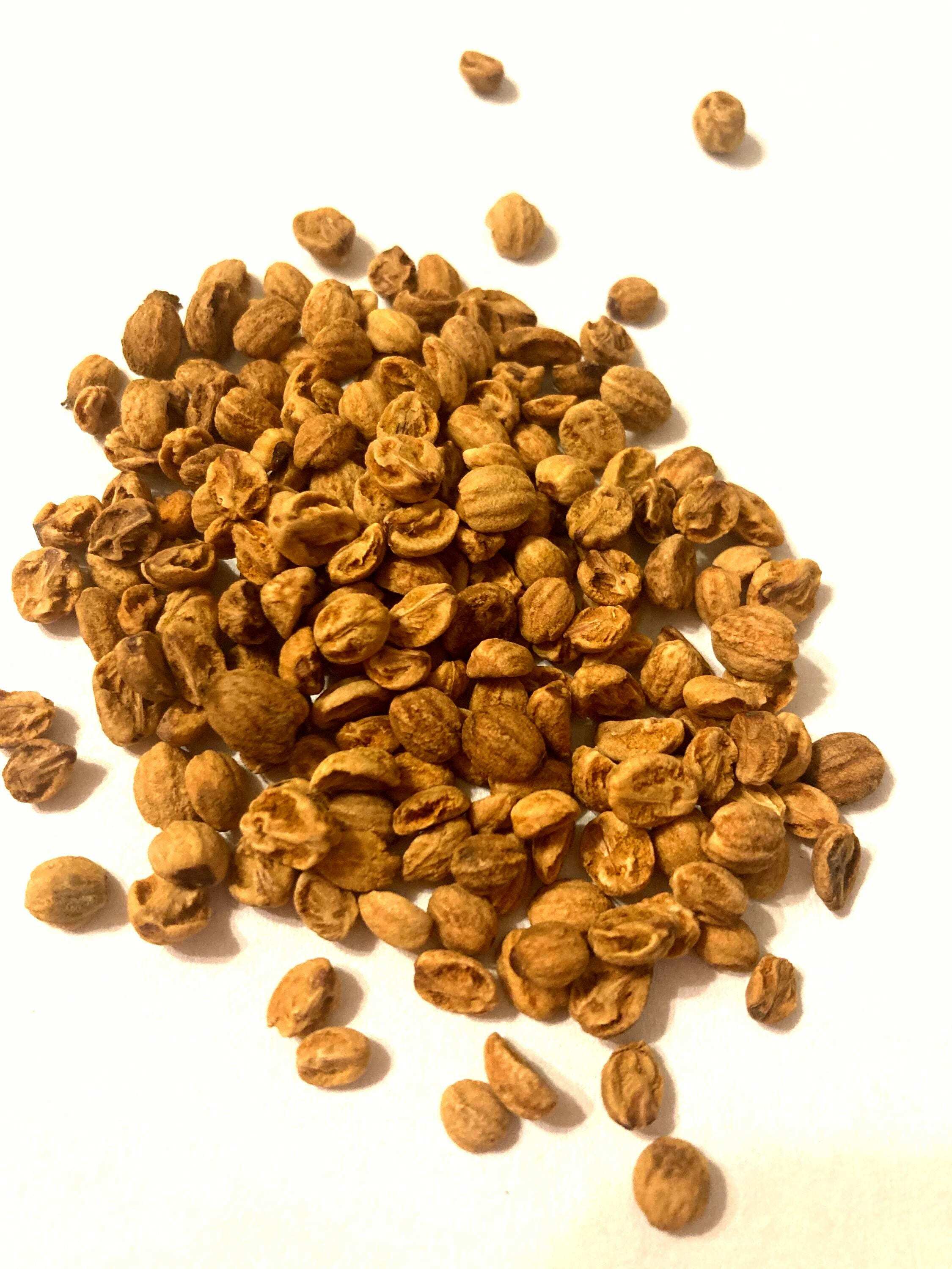 Midland Hawthorn Tree Seeds (CRATAEGUS LAEVIGATA) (Mayflower, Smooth ...