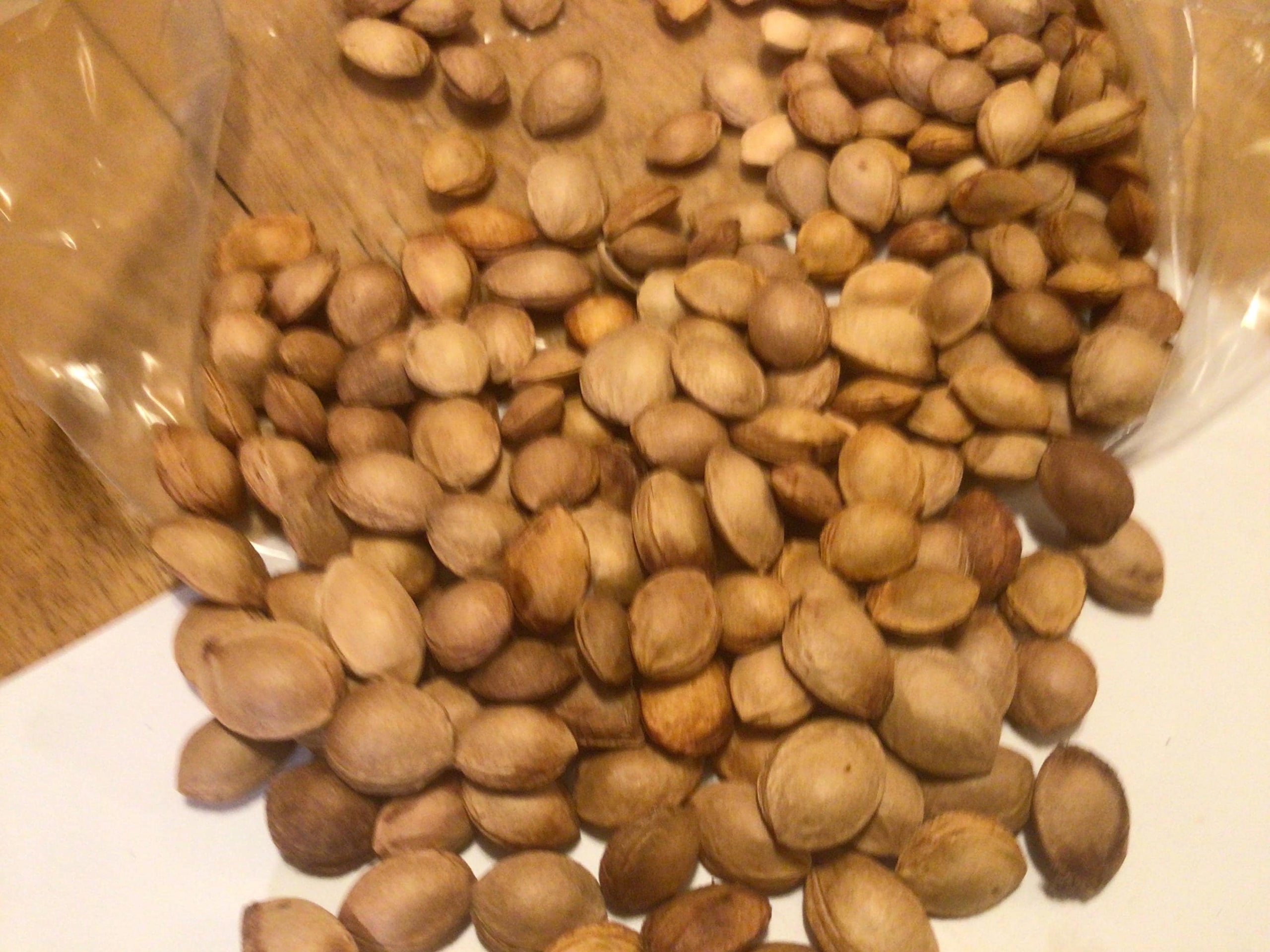 Common Wild Plum Tree Seeds (PRUNUS AMERICANA) (American Plum ...