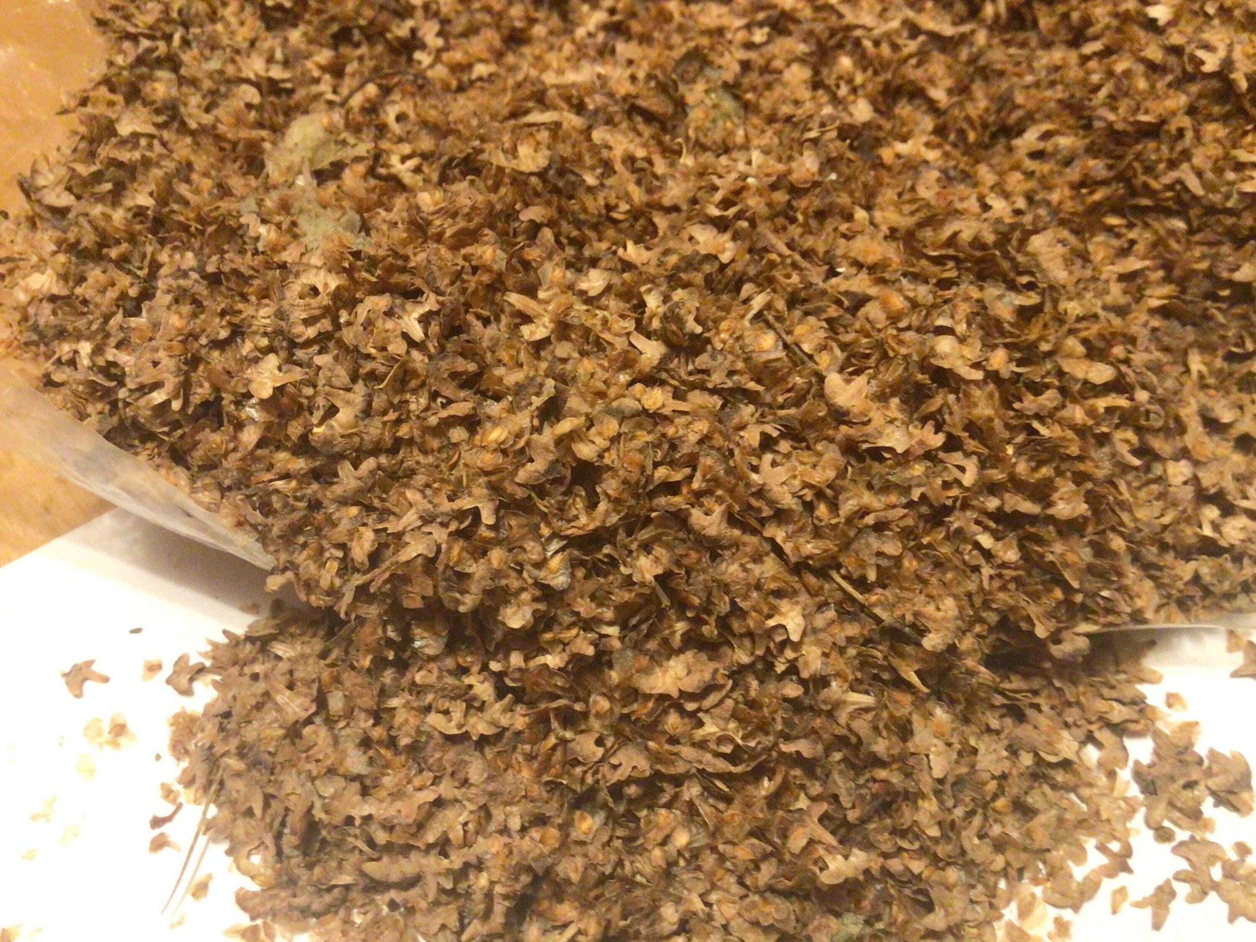 Warty Birch Tree Seeds (BETULA PENDULA) (East Asian White Birch)(Silver ...