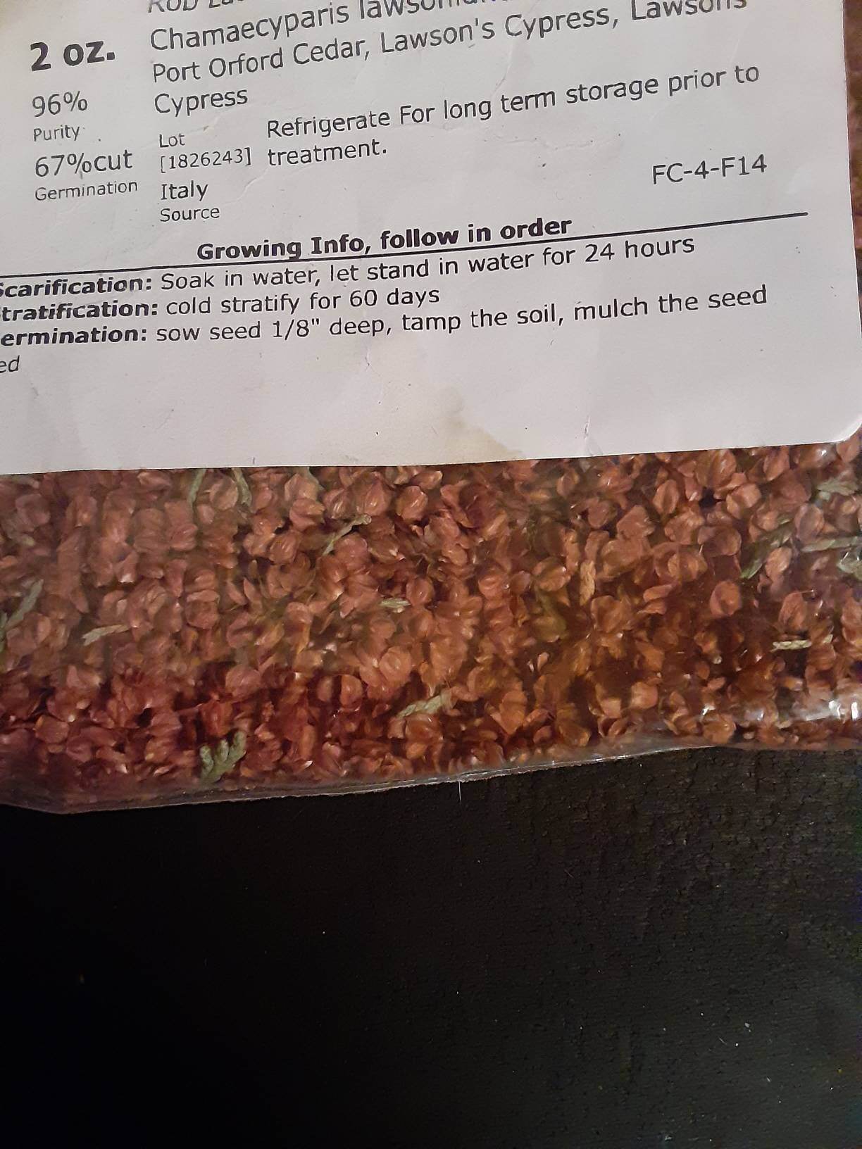 Extraordinary Cedar Tree Seeds Gallery