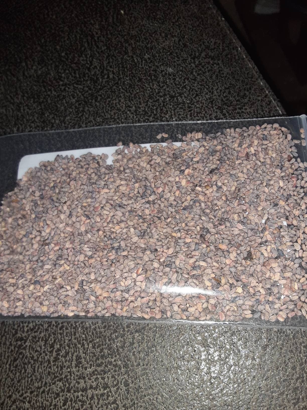 Red Raspberry Seeds (European Raspberry) | TreeSeedMan.Com TREE, SHRUB ...