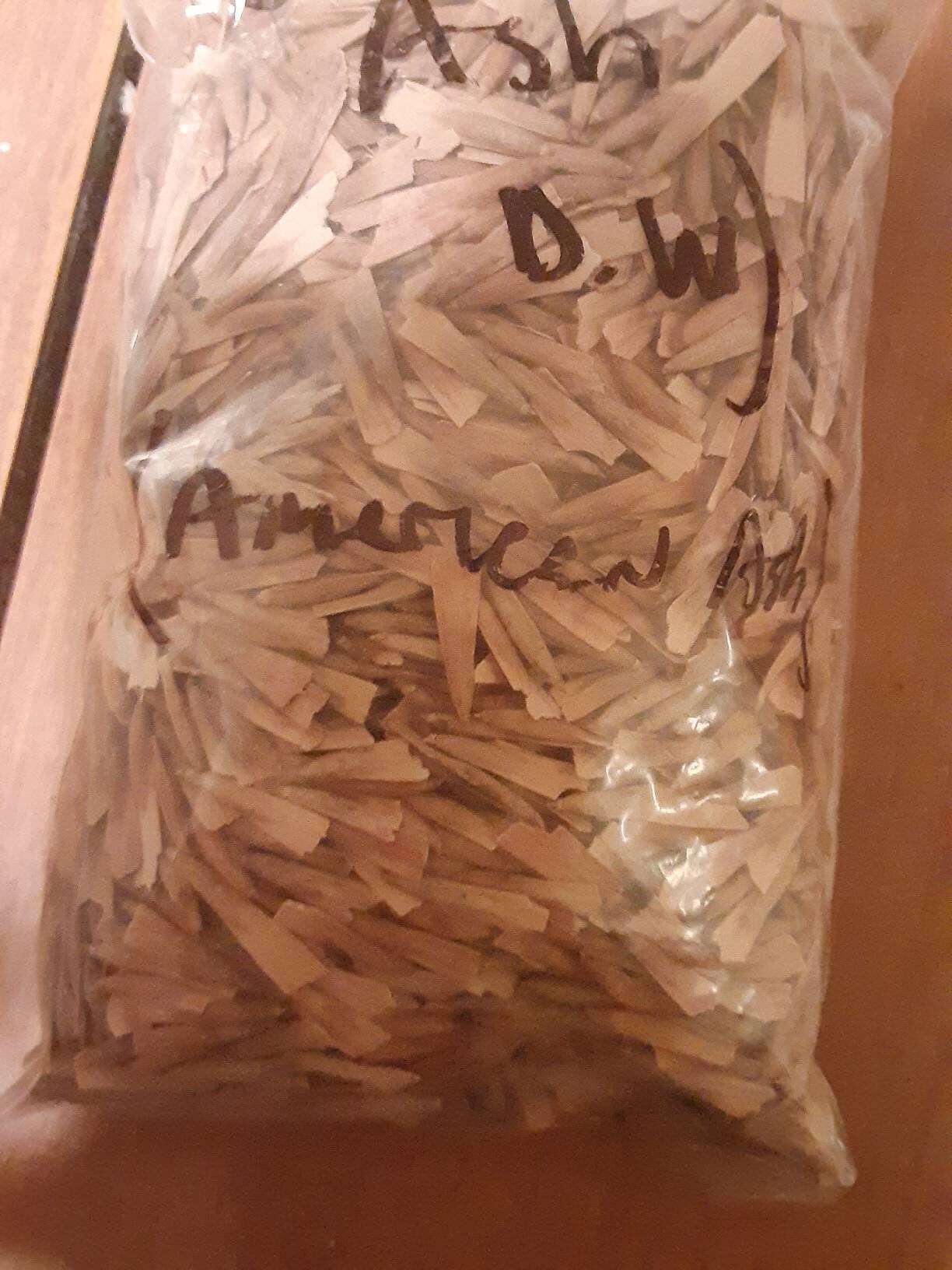 American Ash Tree Seeds (white ash) | TreeSeedMan.Com TREE, SHRUB ...