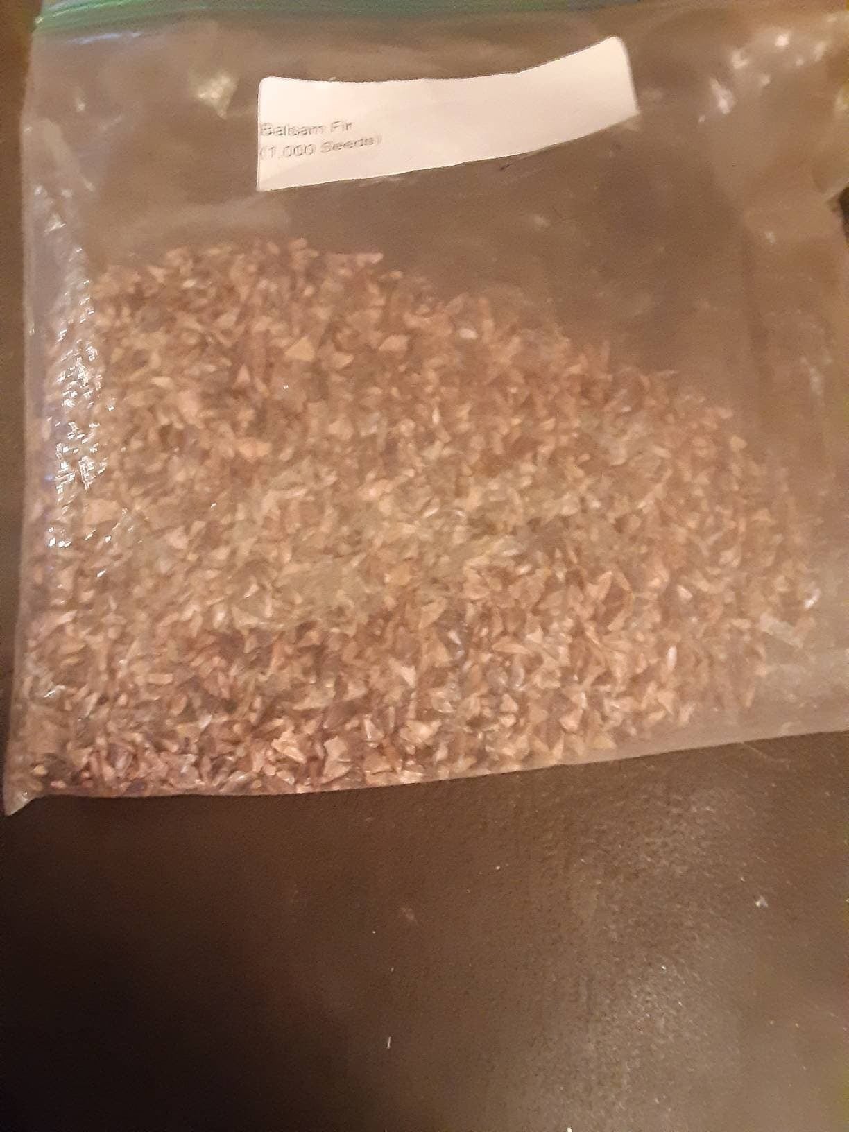 TREE & SHRUB SEEDS | TreeSeedMan.Com TREE, SHRUB & FLOWER SEEDS ...