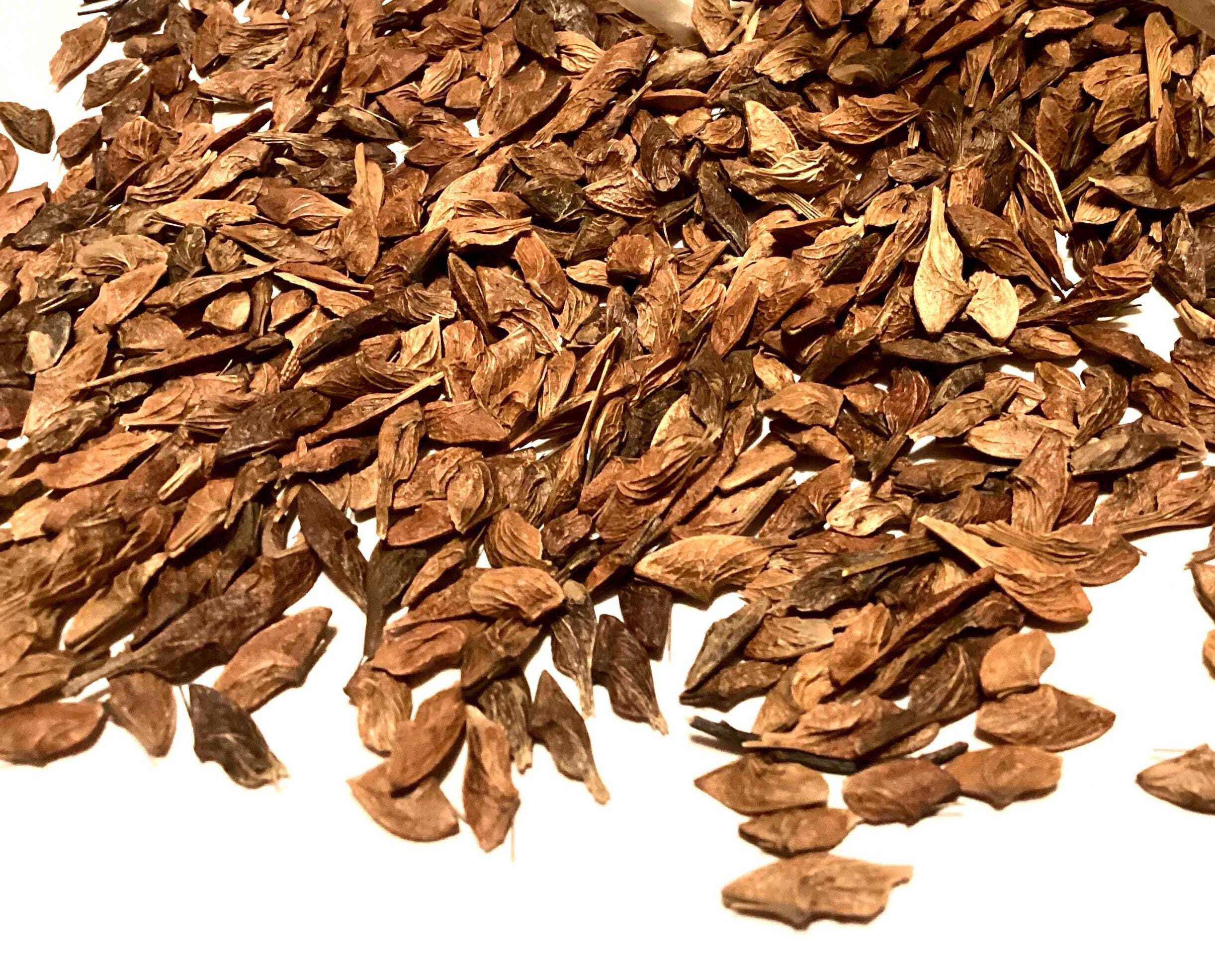 Amur Maple Tree Seeds (ACER GINNALA) (Siberian Maple) | TreeSeedMan.Com ...