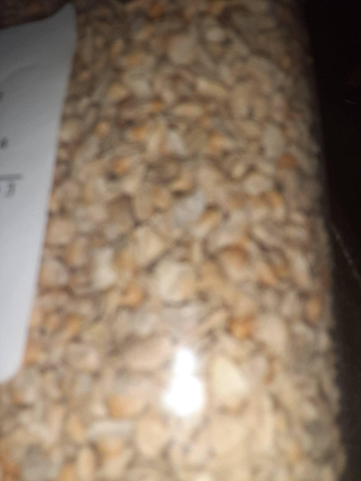 Shadscale Shrub Seeds | TreeSeedMan.Com TREE, SHRUB & FLOWER SEEDS ...